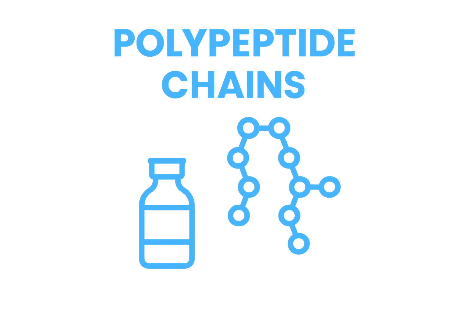 Polypeptide Chains and Their Biological Function | PEPTIDE SHOP